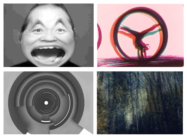 EXPERIMENT 120 : Studio Walter