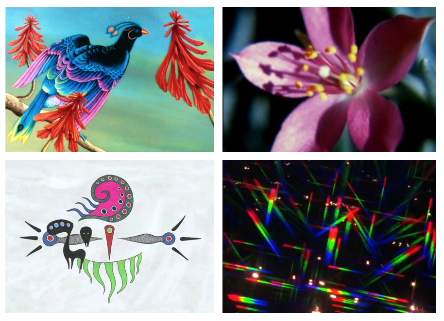 EXPERIMENT 120 / Fantastic Gardens, Bergen : Studio Walter